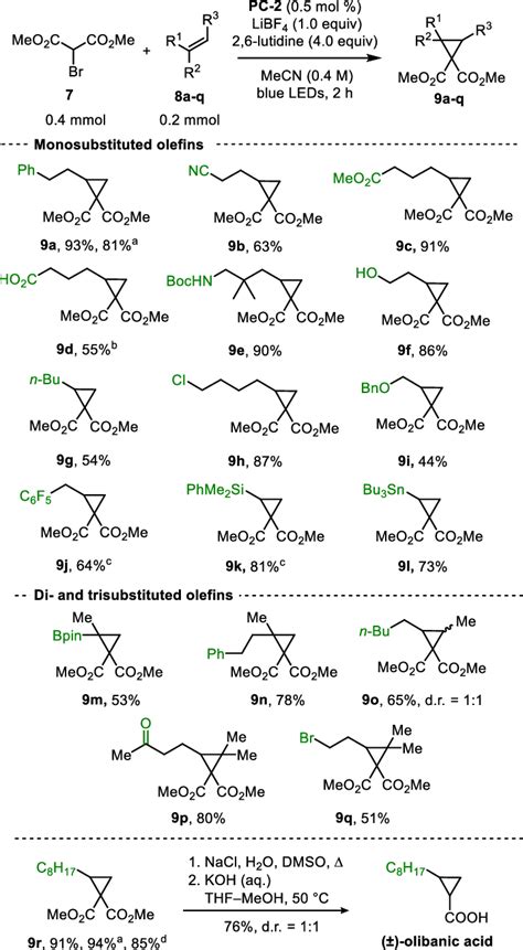 Substrate Scope A 20 Mmol Scale B Reaction Conducted In Sulfolane C