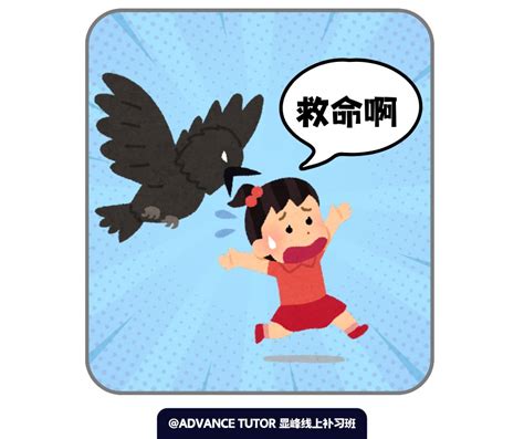 Advance Tutor Advancetutor88 • Instagram Photos And Videos