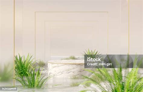 여름 고사리 정원 장면과 함께 제품 전시를위한 자연 미용 연단 배경 양치식물에 대한 스톡 사진 및 기타 이미지 양치식물 호화로움 3차원 형태 Istock