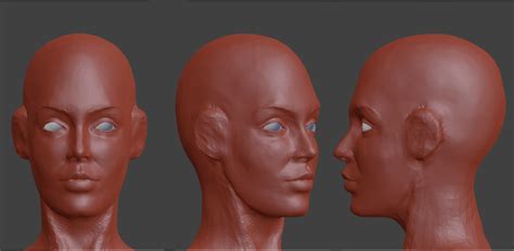 Female Model Project WIP Contains Nudity Works In Progress Blender Artists Community