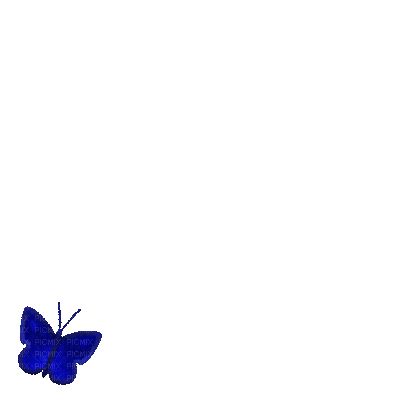 Blue Butterfly  Blue Butterfly  Free Animated  Picmix