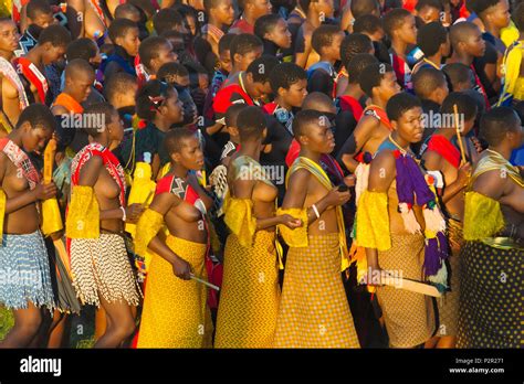 Swaziland Reed Dance Girls Telegraph