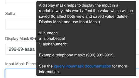 Custom Field Display And Input Masks Voters Highlevel