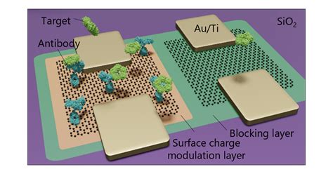 Biosensing With Surface Charge Modulated Graphene Field Effect Transistors Beyond Nonlinear