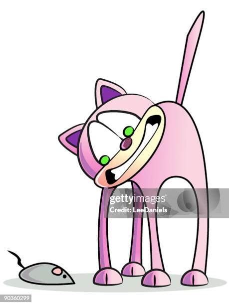 Shivering Cat Photos And Premium High Res Pictures Getty Images