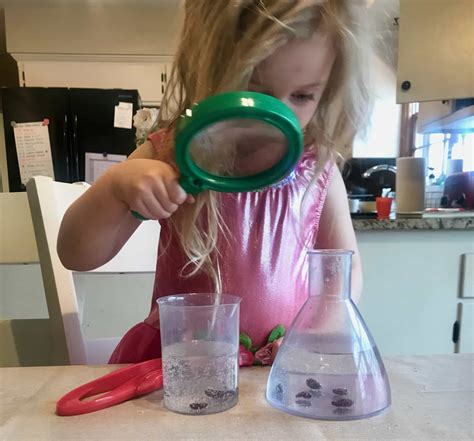 Simple Science Experiments For Class 9