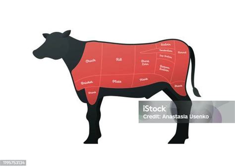 벡터 쇠고기 스테이크 다이어그램 배너입니다 미국 고기 절단 화이트 모던 스타일 암소 실루엣마크업 빨간색 영역 강조 표시 및 텍스트입니다 카페 메뉴 장식 정육점 다이어그램