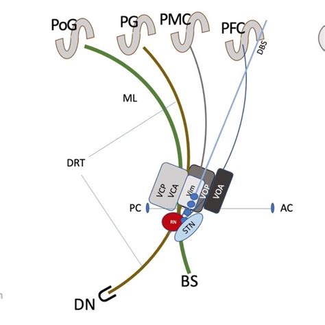 Dti Protocol Summary Download Table
