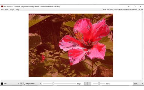 Red Pill Image Editor Photo Editing Software 40 Off For Pc