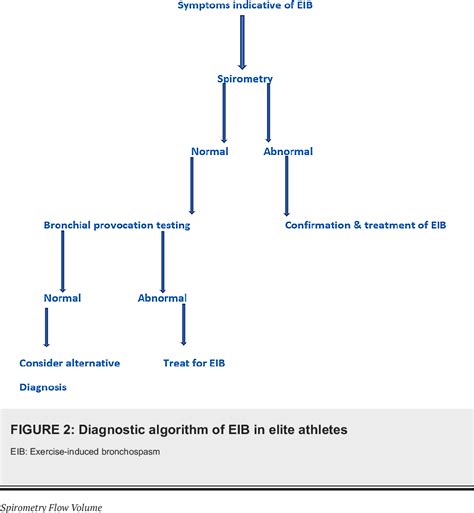 Figure 2 From Exercise Induced Bronchospasm In Elite Athletes Semantic Scholar