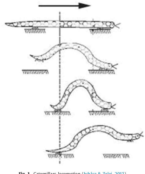 Figure 1 From Robust Adaptive Control Of A Bio Inspired Robot Manipulator Using Bat Algorithm