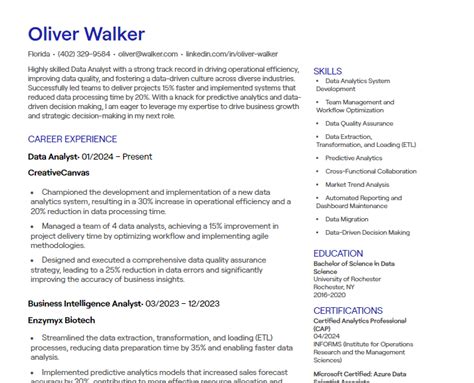 Data Analyst CV Examples Free Templates