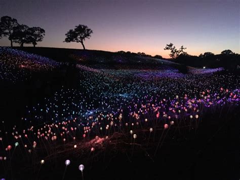 Heres The Best Way To Experience The Field Of Light In Paso Robles