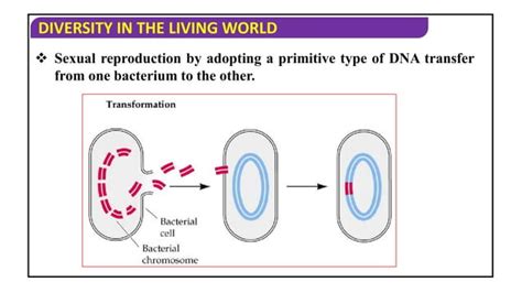Biological Classification Introduction Ppt