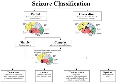 Early Prediction Of Epilepsy Seizures Vlsi Bci System Deepai