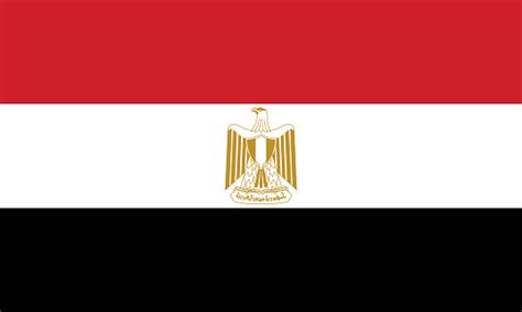 Egypt Flag Vector Illustration Arab Country Stock Illustration
