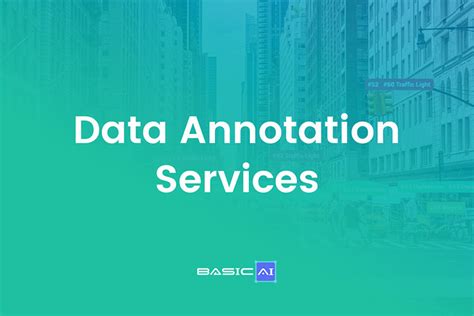Data Annotation Service Basicais Blog