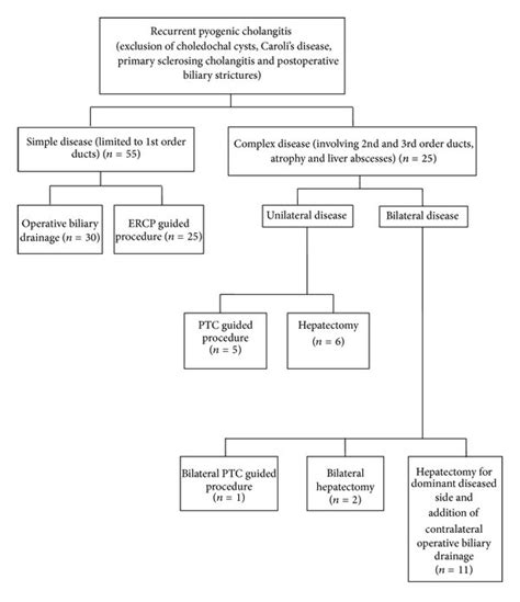 Management Algorithm Of Recurrent Pyogenic Cholangitis Download Scientific Diagram