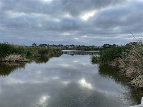 Beautiful Buena Vista Lagoon Photo Of The Day Carlsbad Ca Patch