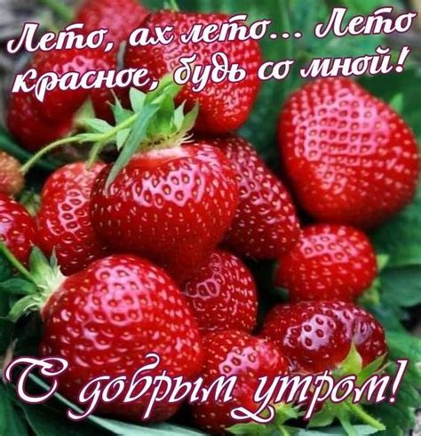 Картинки Доброе утро красивые и позитивные 100 штук