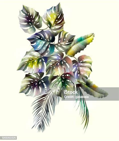 정글 식물과 열대 배경입니다 야자수 잎 벡터 이국적인 패턴입니다 0명에 대한 스톡 벡터 아트 및 기타 이미지 0명 꽃 식물 나무 Istock