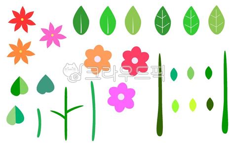 꽃 잎 잎사귀 빨간꽃 주황색꽃 사진 이미지 일러스트 캘리그라피 씨앗심다작가