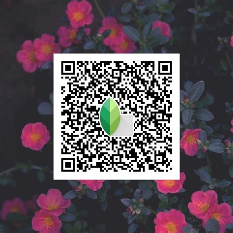 The 36 Best Snapseed Qr Codes Presets Artofit