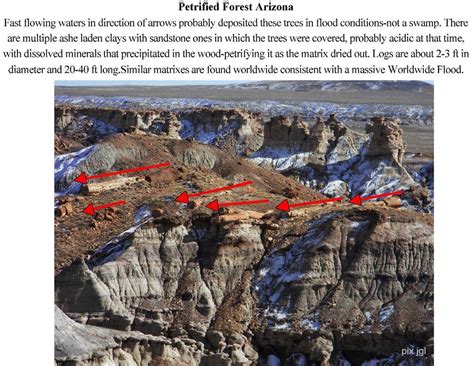 Evidence For Rapid Complete Or Partial Fossilization Defending The