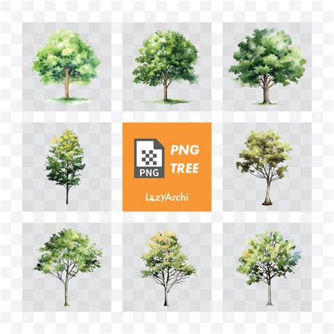 Water Color Style Tree Elevation PNG Collection Etsy