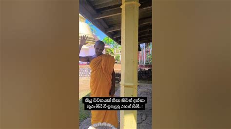 😢💚☘ Travelwithakhila බුදු බුදු සරණයි බුද්ධ භාවනා බුදුරදුන් බුදු දහම බුදුන්වදාලධර්මය