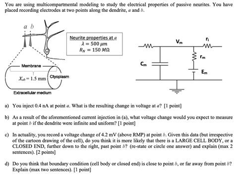 SOLVED You Are Using Multicompartmental Modeling To Study The