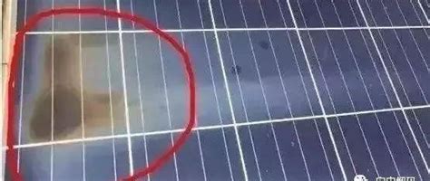 科学菌：光伏基地很多建在沙漠里，太阳能板上落的沙尘咋处理
