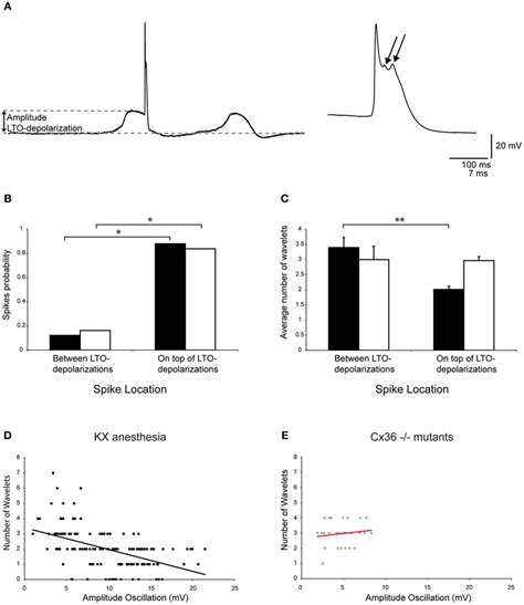 Modulation Of Olivary Wavelets By Low Threshold Ca²⁺ Depolarizations
