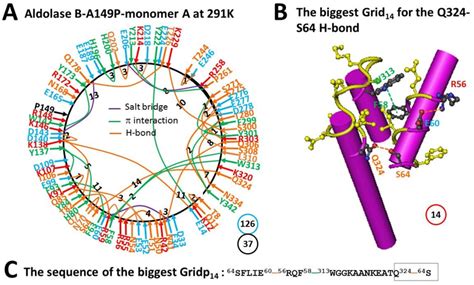 The Grid Like Non Covalently Interacting Mesh Network Along The Single Download Scientific