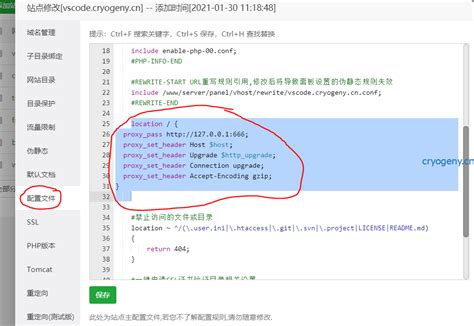 nas 上部署code server 深冷天地