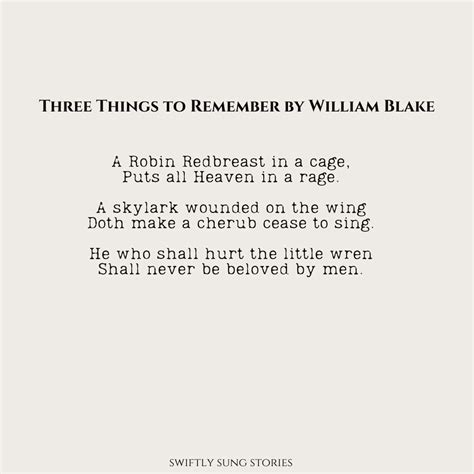 Robin Song Meaning Full Analysis Of Taylors Tricky Track Swiftly Sung Stories