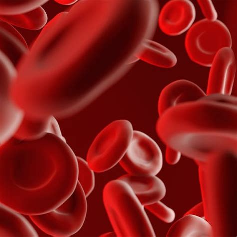 Stronger Harder Longer Bundle Male Enhancer I Sensilab