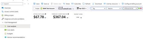 查看 Microsoft 365 Copilot 即用即付的成本 Microsoft Learn