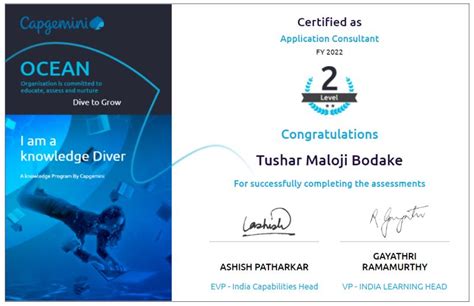 Tushar Bodake On Linkedin Sap Capgeminiindia