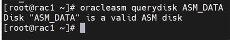 详解oracle asmlib软件 墨天轮