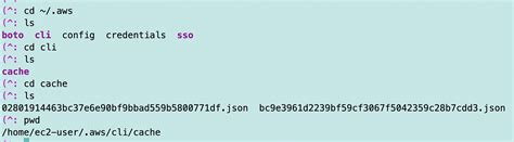 How To End An Active Aws Cli Assumed Role Session By Teri Radichel