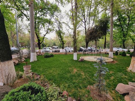 우즈베키스탄 타슈켄트 고급스러운 로컬 맛집 쁠롭plov Feat 부라타 치즈 샐러드 주문 조심