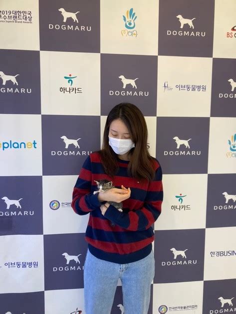 대구 2021 0387 코리안숏헤어 알리 책임분양 닥스훈트무료입양사이트 도베르만무료입양사이트 말티치무료입양사이트 말티폼무료입양사이트 보더콜리무료입양사이트 프렌치불독무료