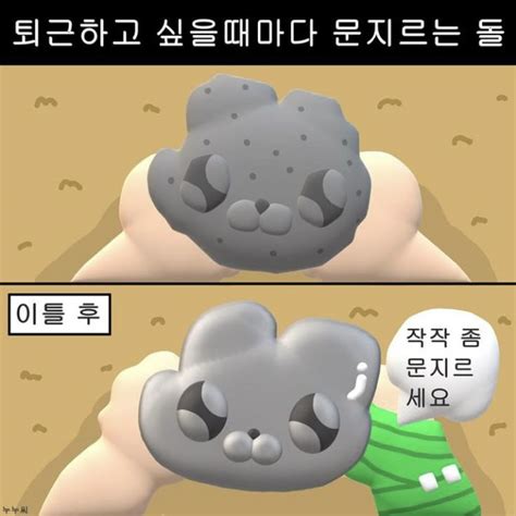 웃긴 짤에 있는 서형님의 핀 웃긴 밈 밈 웃긴