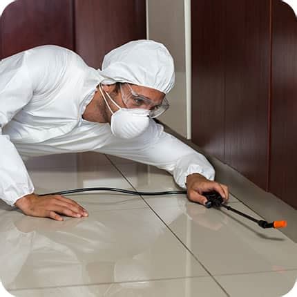 Pest Control Melbourne No For Pest Control Services