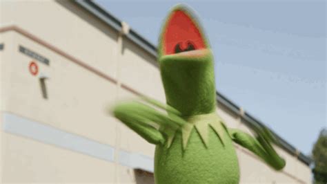 Kermit The Frog S Wiffle