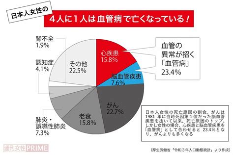 《血管力をアップさせる》脳出血や心筋梗塞…女性の死因はがんよりも「血管の病」“魚の缶詰”で手軽に若返る方法を医師が伝授！人気のサバ缶レシピ付き 週刊女性prime