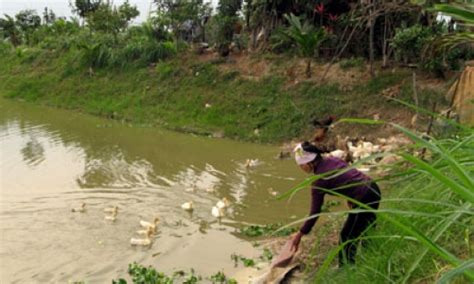 Nhiều Tbkt được ứng Dụng Trong Chăn Nuôi Báo Bắc Ninh điện Tử