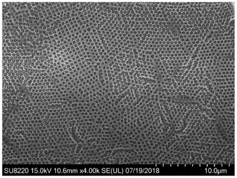 Carbon Quantum Dot Modified Bismuth Tungstate Ordered Macroporous Fluorine Doped Tin Oxide