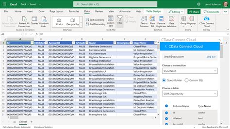 Excel Data Connectivity Cloud Data Virtualization